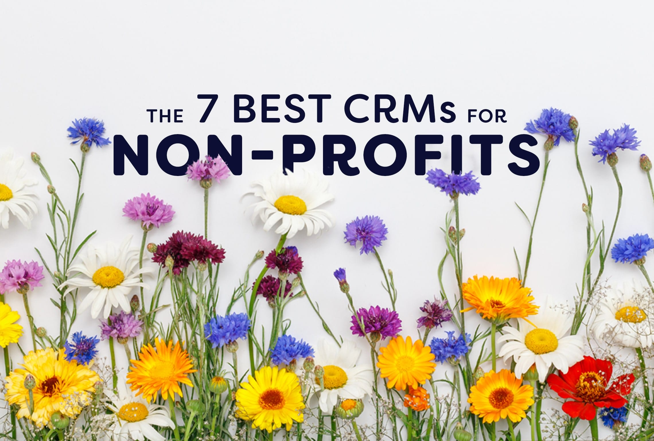 Compare the 8 Best CRM for Nonprofits in 2025 - Including Costs